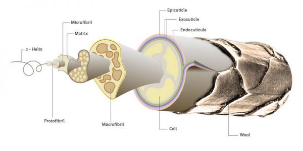 Here's What Experts Say About The Thickness Of Human Hair