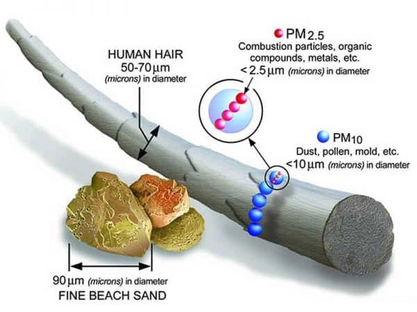 Answered: Your Most Burning Questions About Width Of Human Hair ...