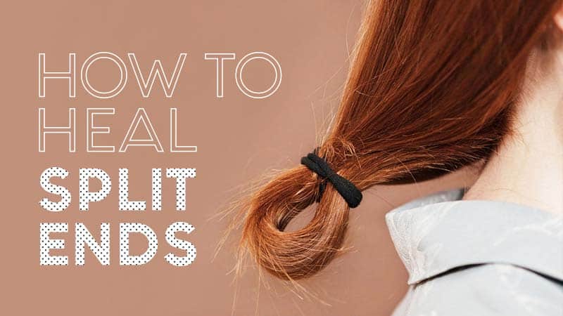 How To Heal Split Ends - The Secrets Of Success | Laylahair